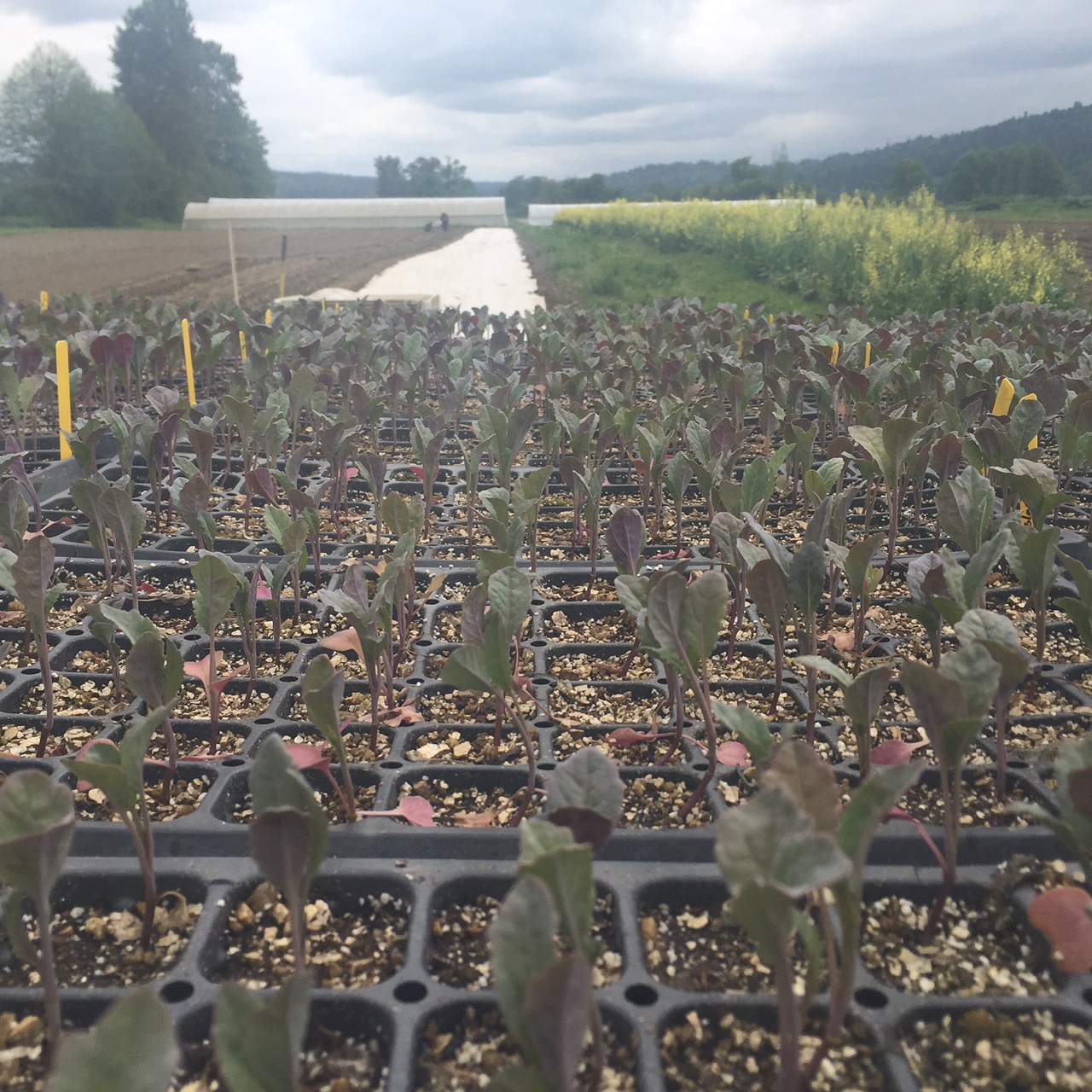 Movin’ on out | Oxbow Farm & Conservation Center