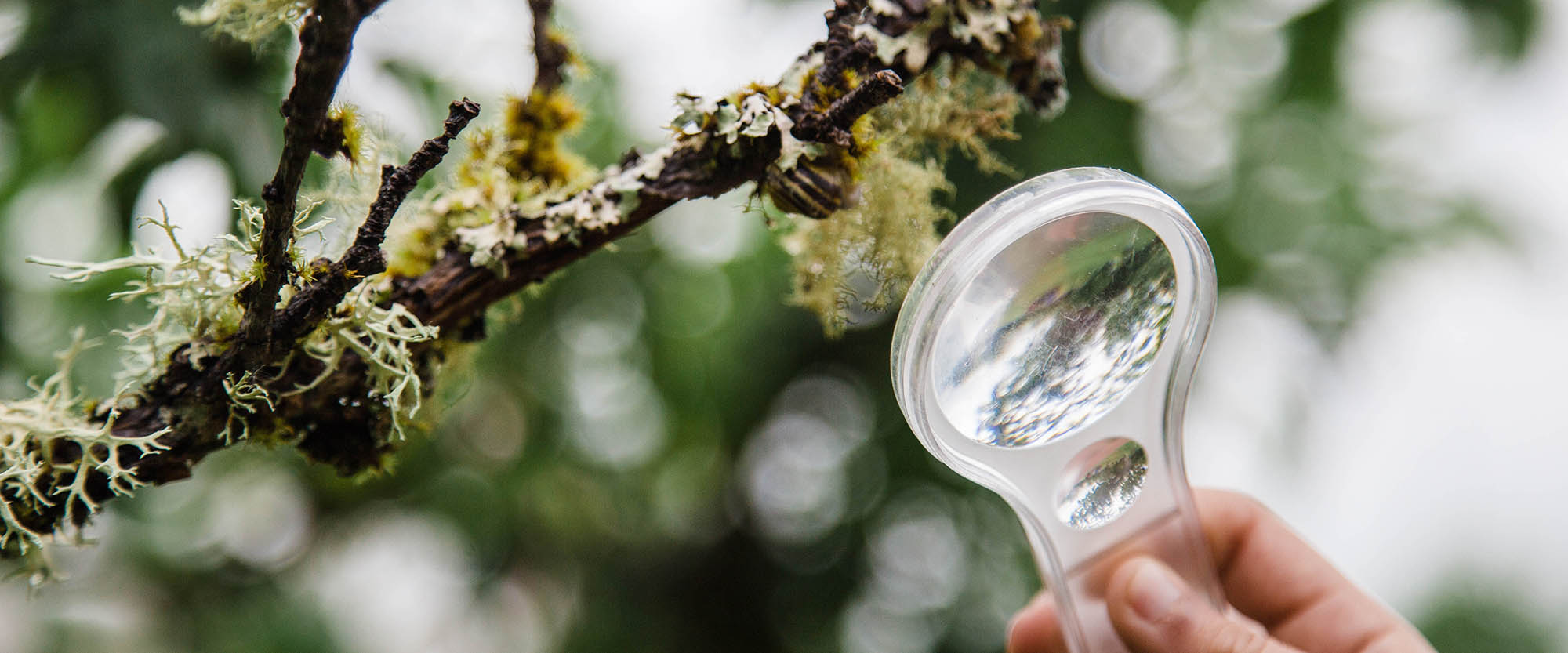 Lessons & Resources | Oxbow Farm & Conservation Center