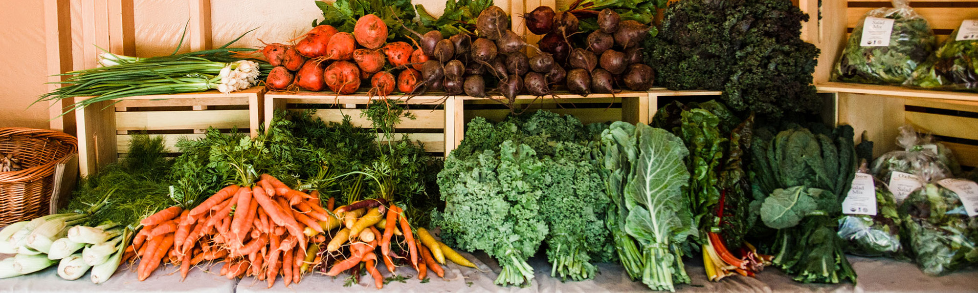 About the Farm | Oxbow Farm & Conservation Center