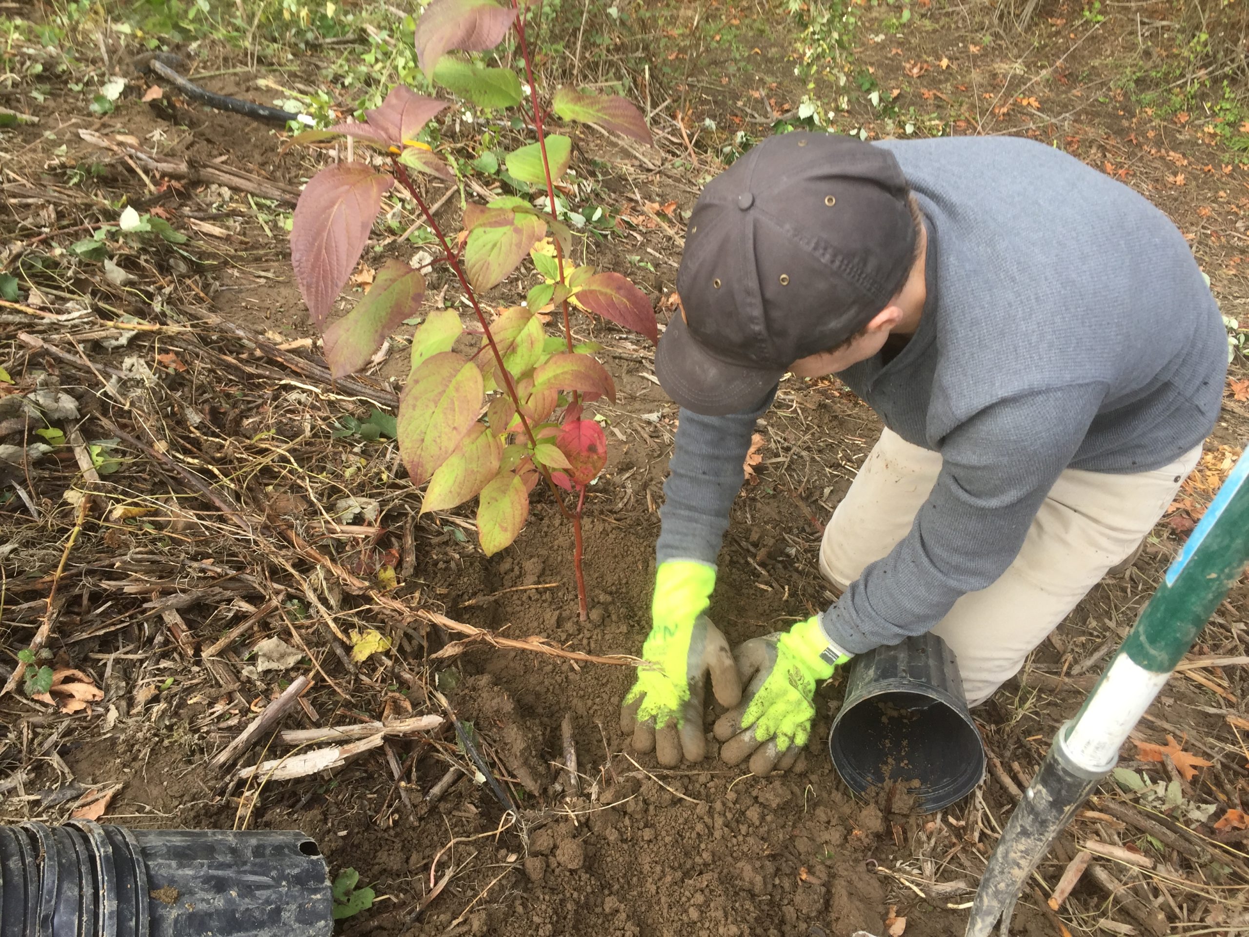 Fall Planting Season | Oxbow Farm & Conservation Center