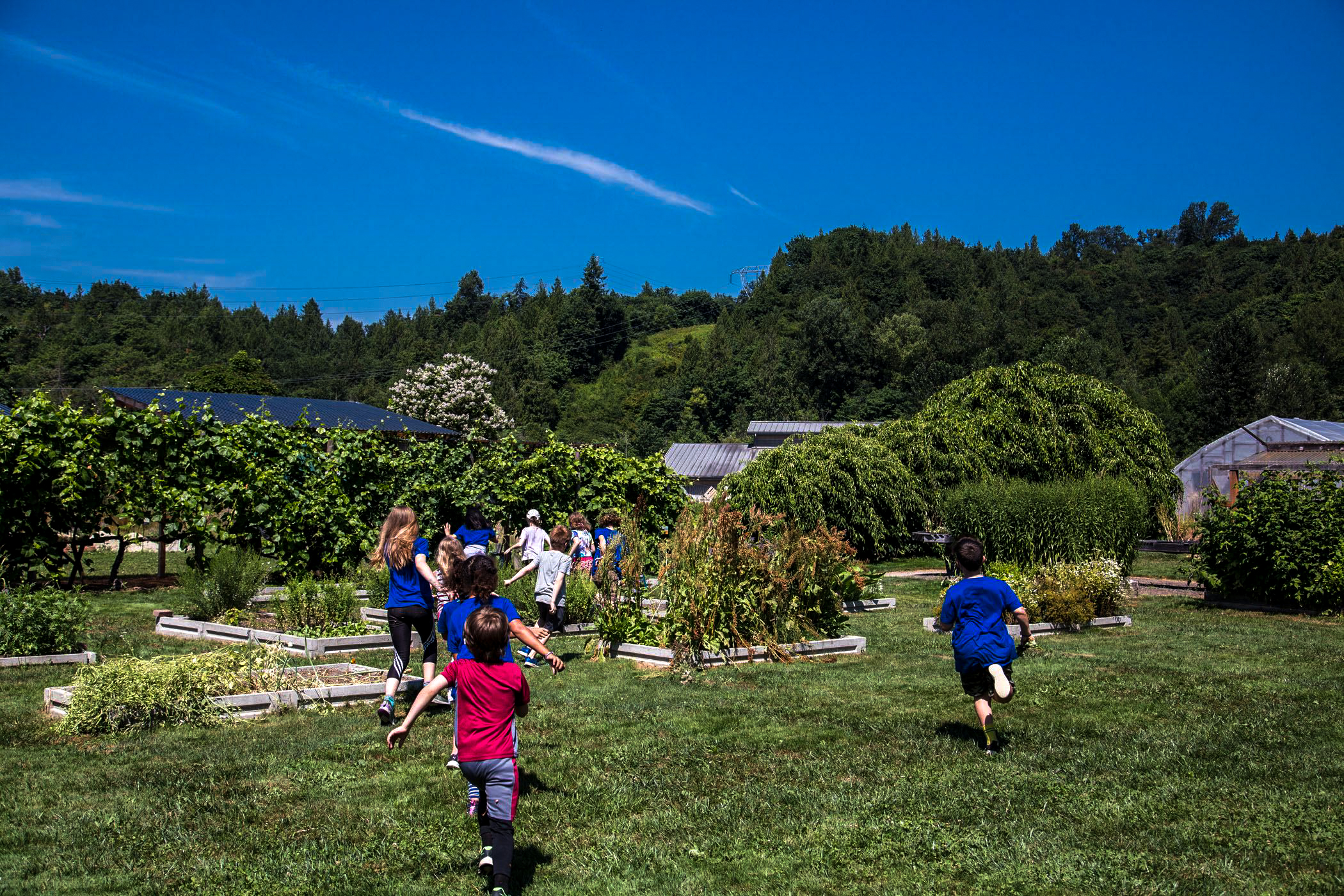 5 Benefits of Outdoor Play for Children | Oxbow Farm & Conservation Center