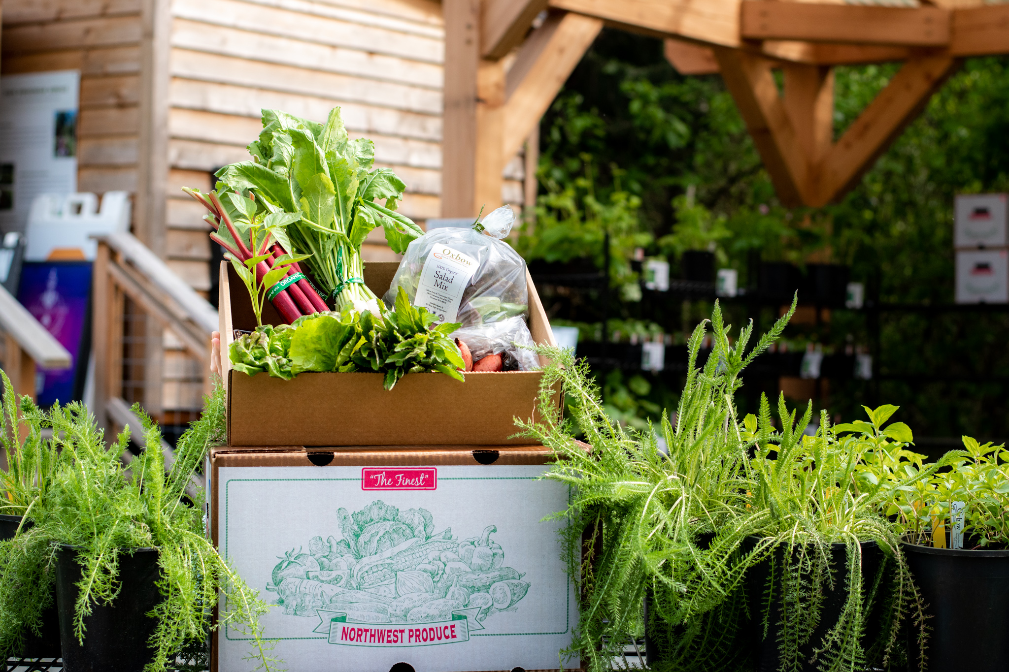 What is a CSA? | Oxbow Farm & Conservation Center