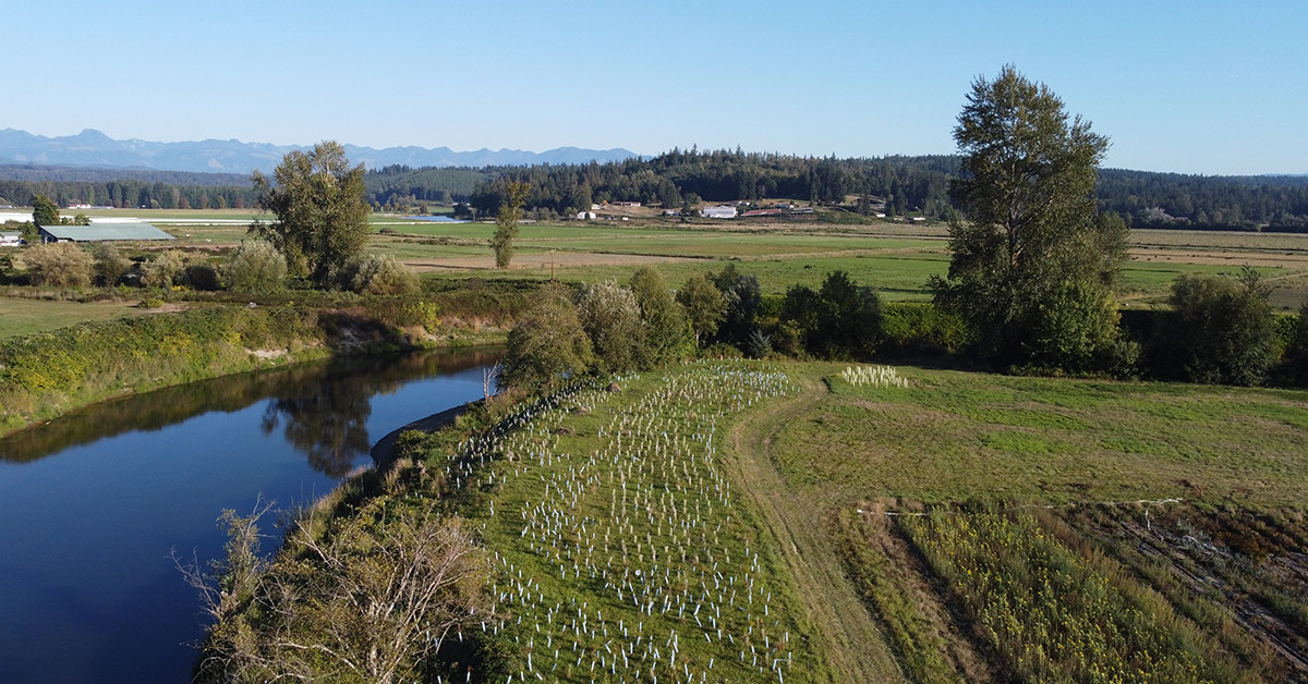 Restoration Ripple Effects | Oxbow Farm & Conservation Center