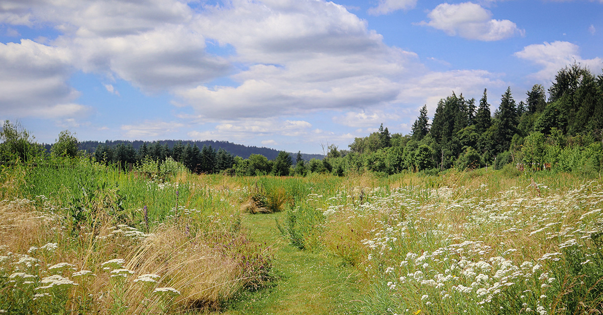 Anne Lowe Named Oxbow’s Executive Director | Oxbow Farm & Conservation ...